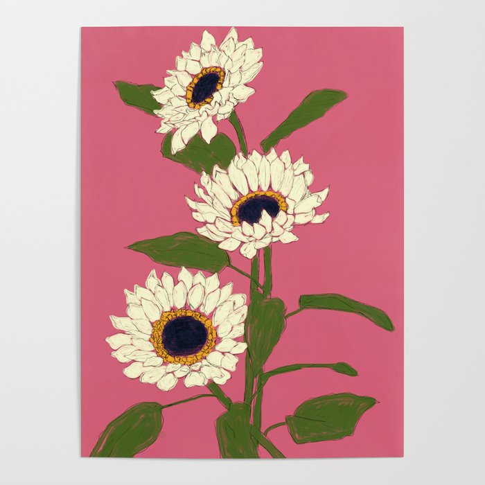 Sunflower Pink Sami Poster – Society6