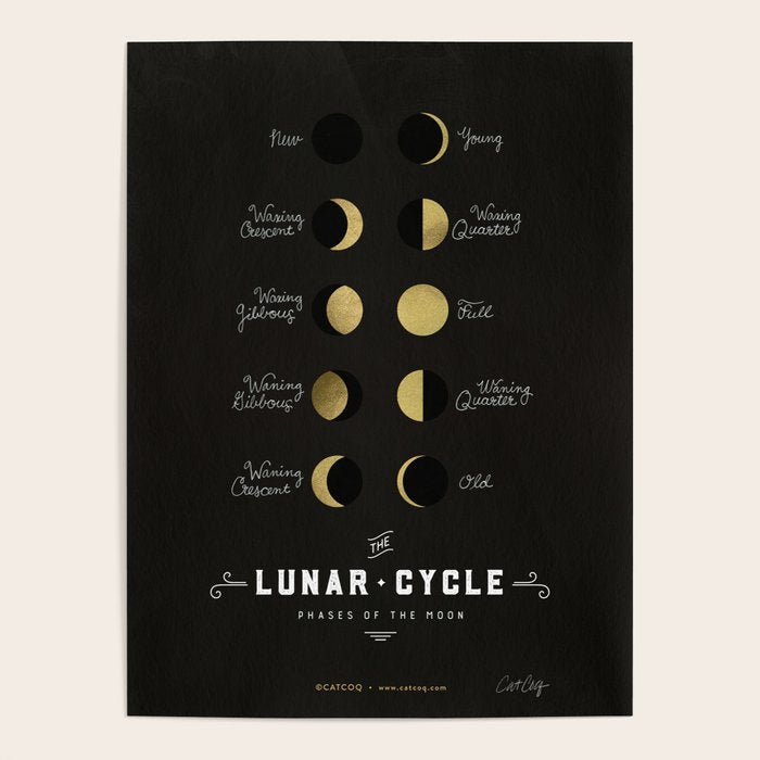 The Lunar Cycle â ¢ Phases of the Moon - Black & Gold Palette Poster ...