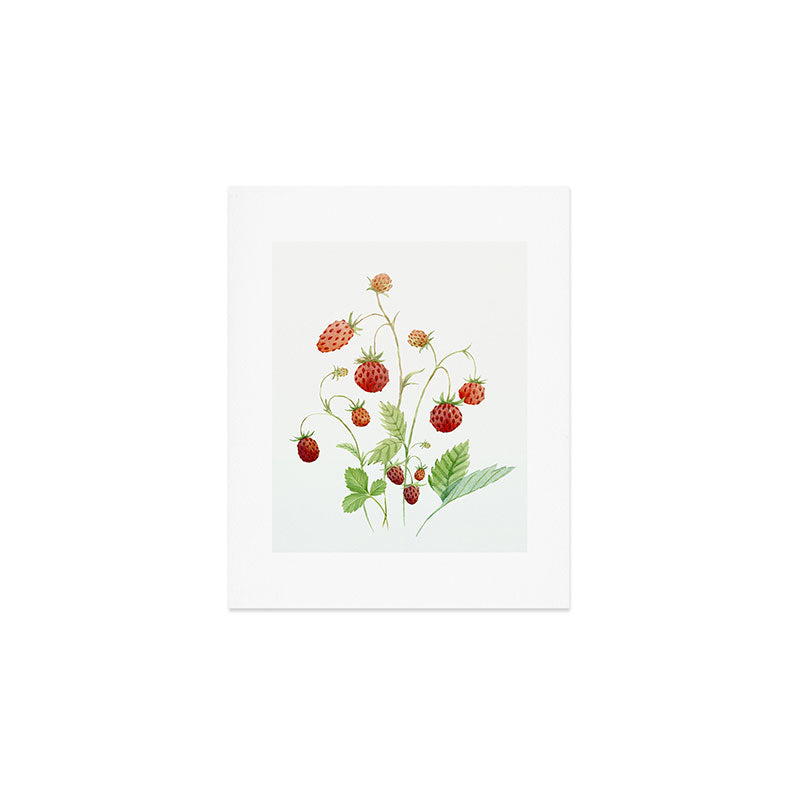 Wild Strawberries Art Print – Society6
